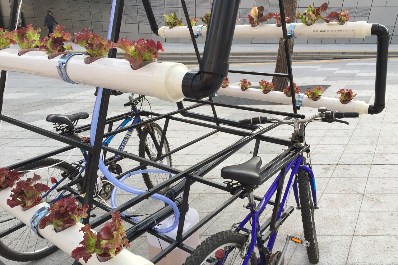 Bike Share Farm - Domus