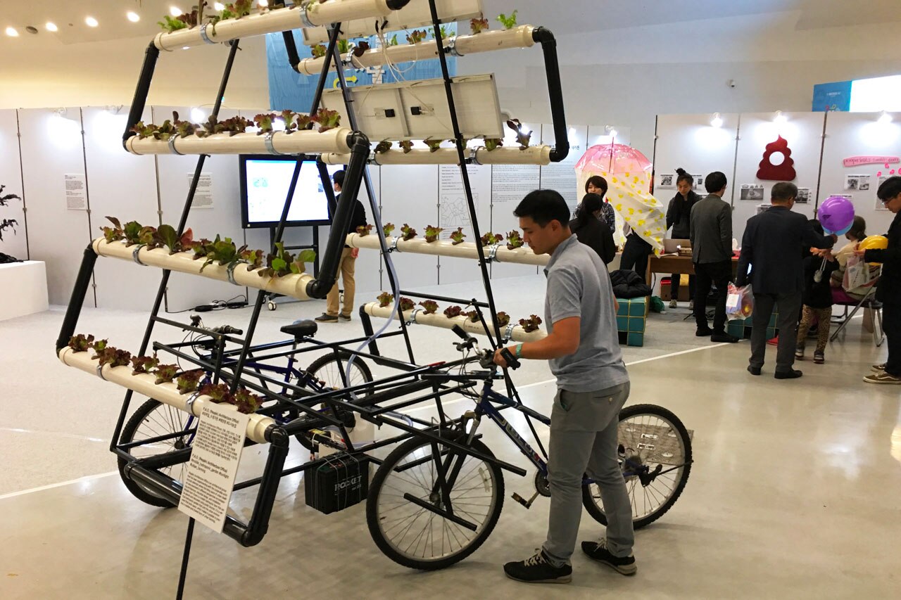 Bike Share Farm - Domus