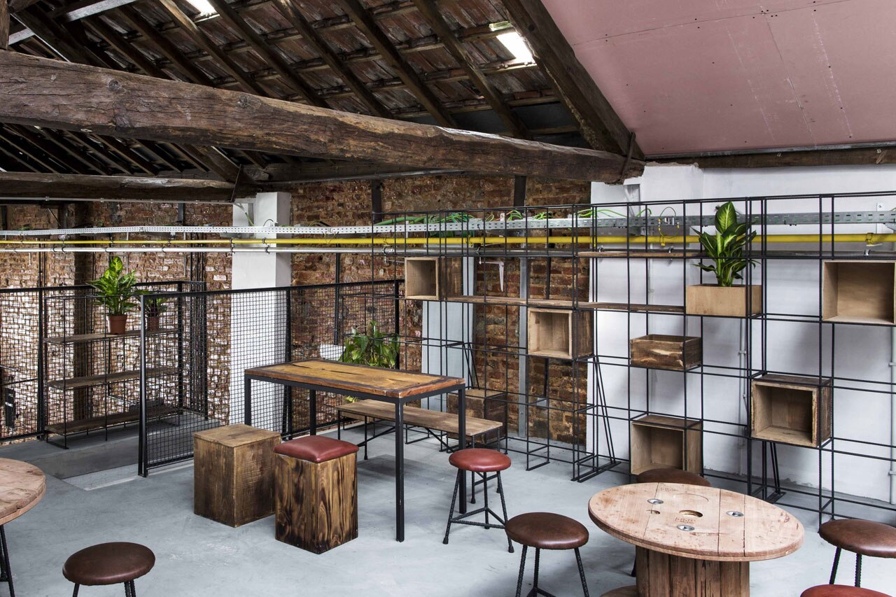 Musa Brewery - Domus