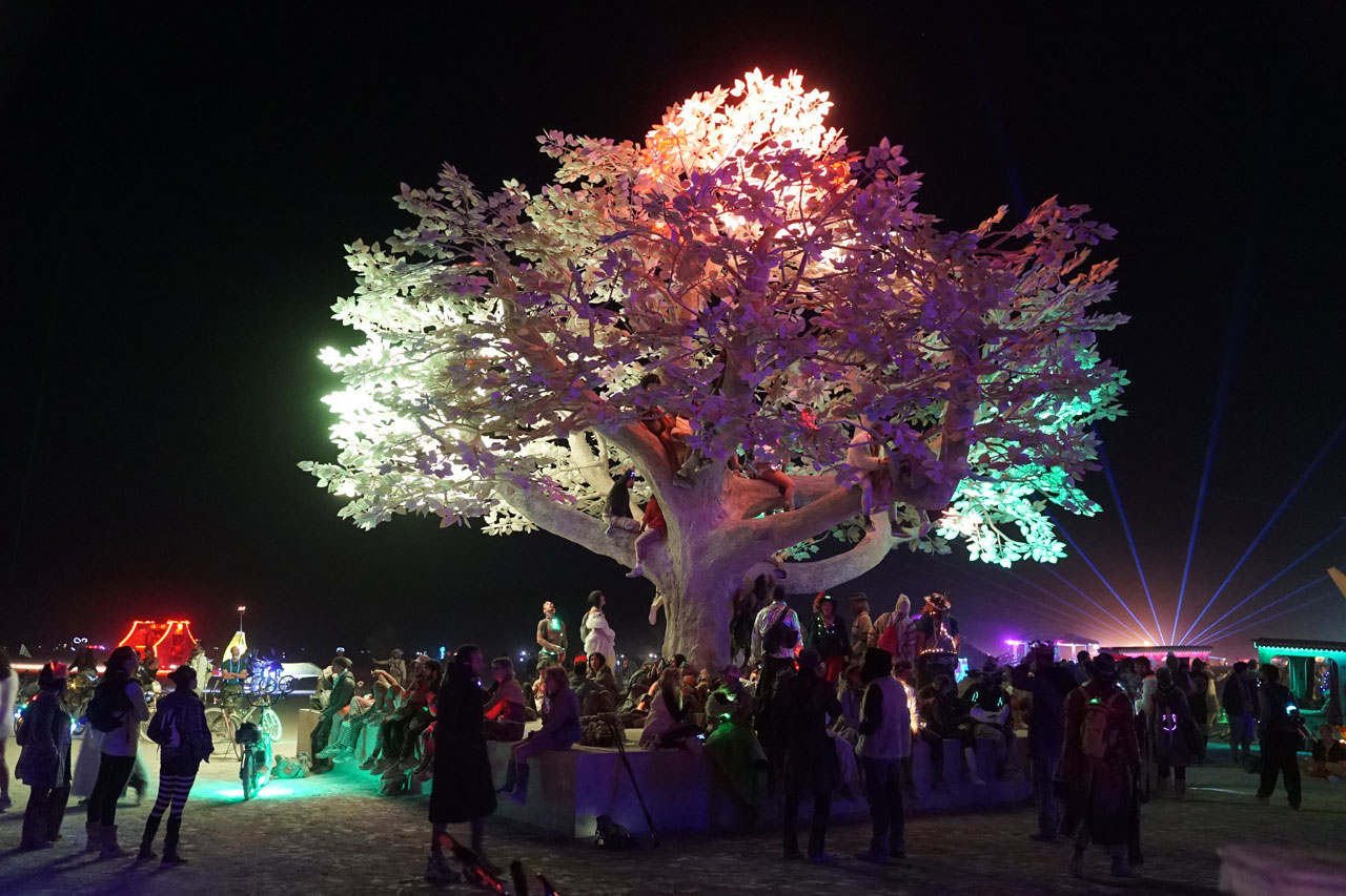 Tree of Ténéré - Domus