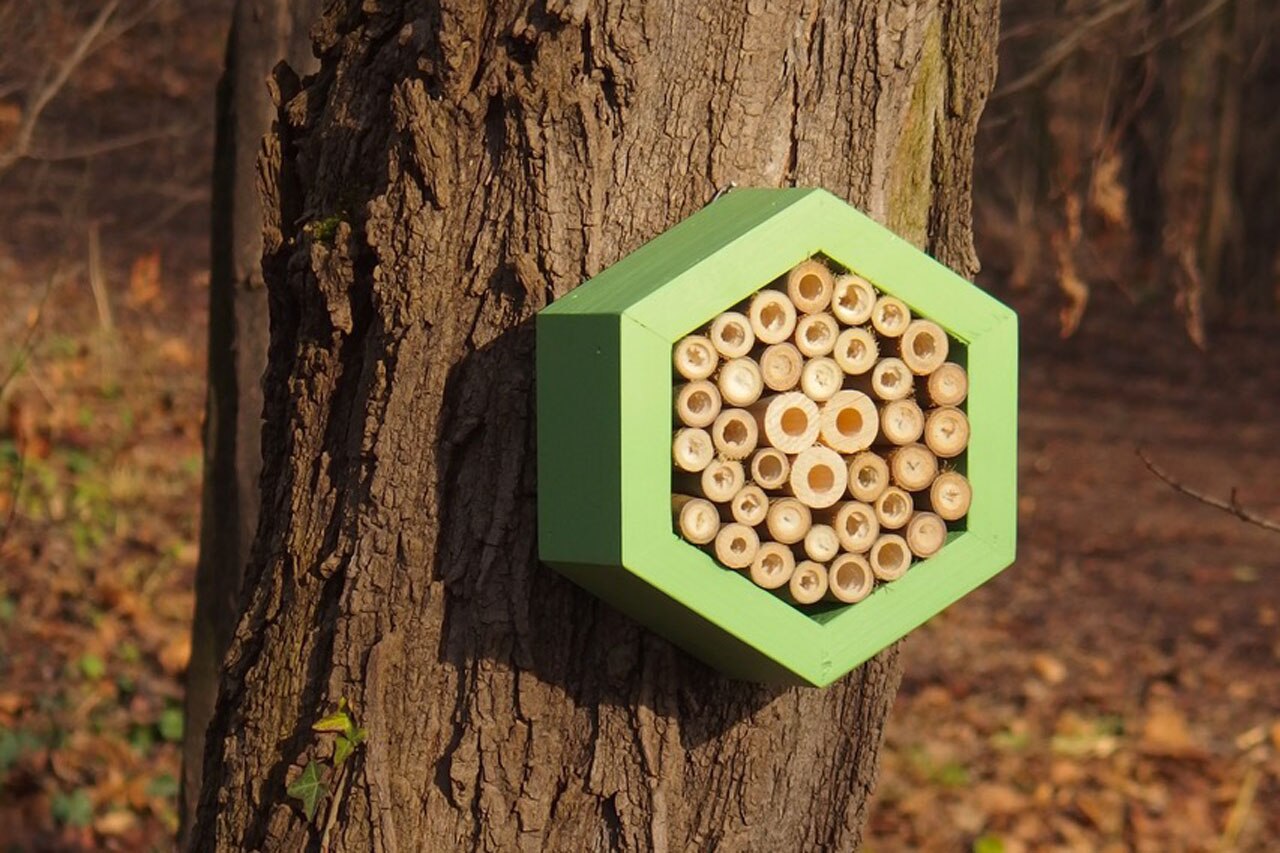 Insect Hotel - Domus