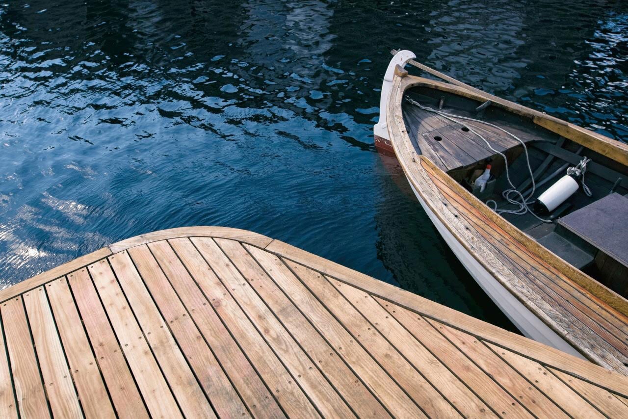 A solitary tree floating in the Copenhagen harbour - Domus
