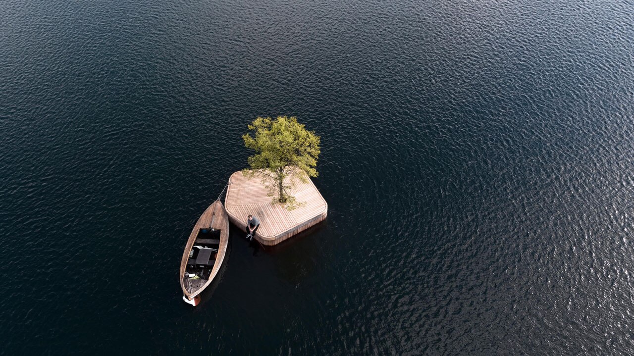 A solitary tree floating in the Copenhagen harbour - Domus