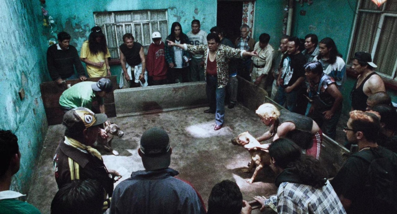 From Amores Perros to Fondazione Prada: Alejandro Iñárritu, the ...