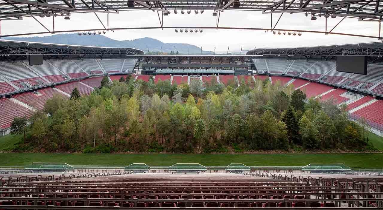 The Forest by Klaus Littmann opens to the public: trees on a football field