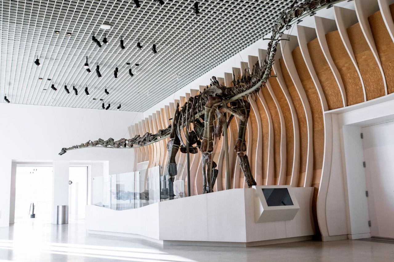 The new wing of the NHM Natural History Museum designed by Frederick ...