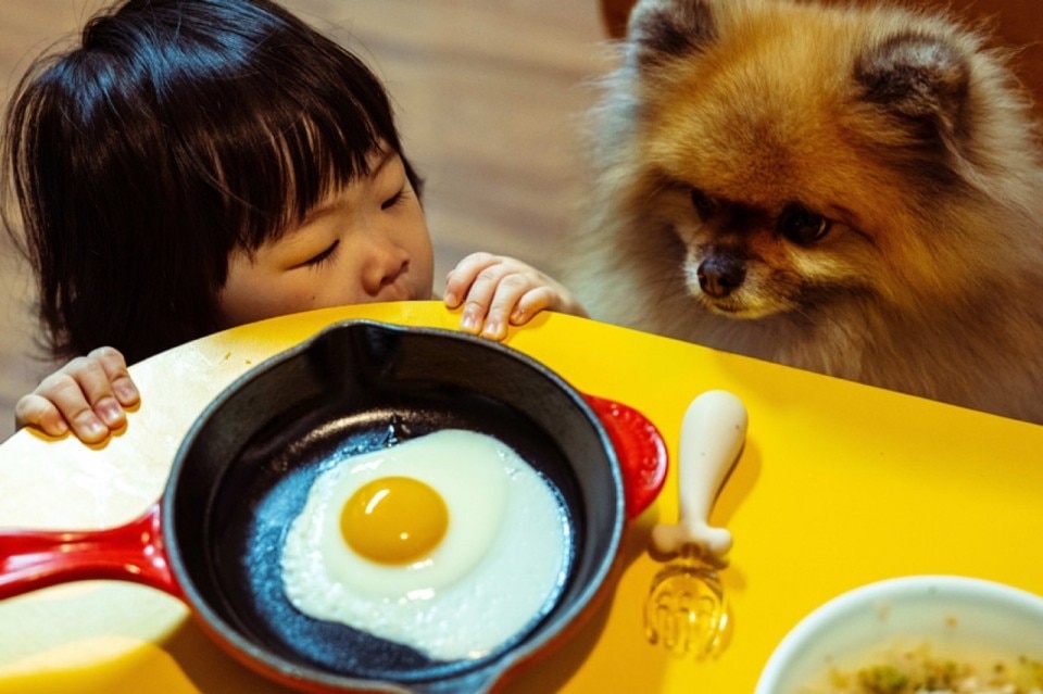 Sony World Photography Awards 2026: there’s no trace of AI among the ...
