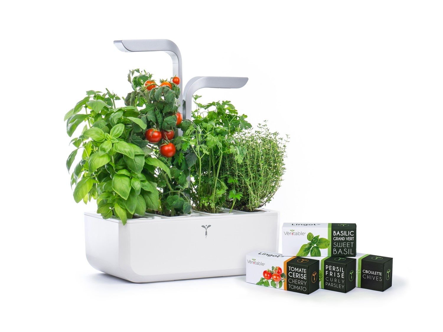 Five smart gardens that will help you grow vegetables at home - Domus
