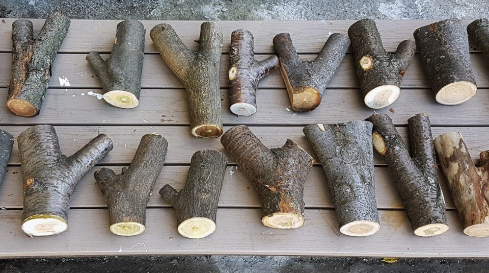 MIT reuses tree waste as structural joints - Domus
