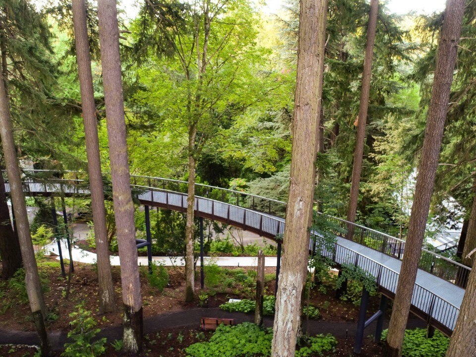 Botanical garden in Portland redesigned by Land Morphology - Domus