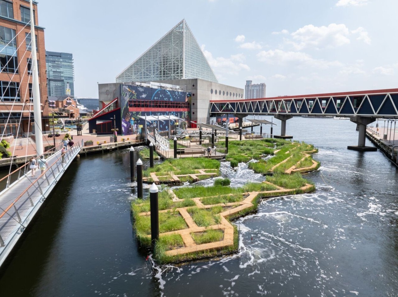 Baltimore's National Aquarium has created an artificial swamp