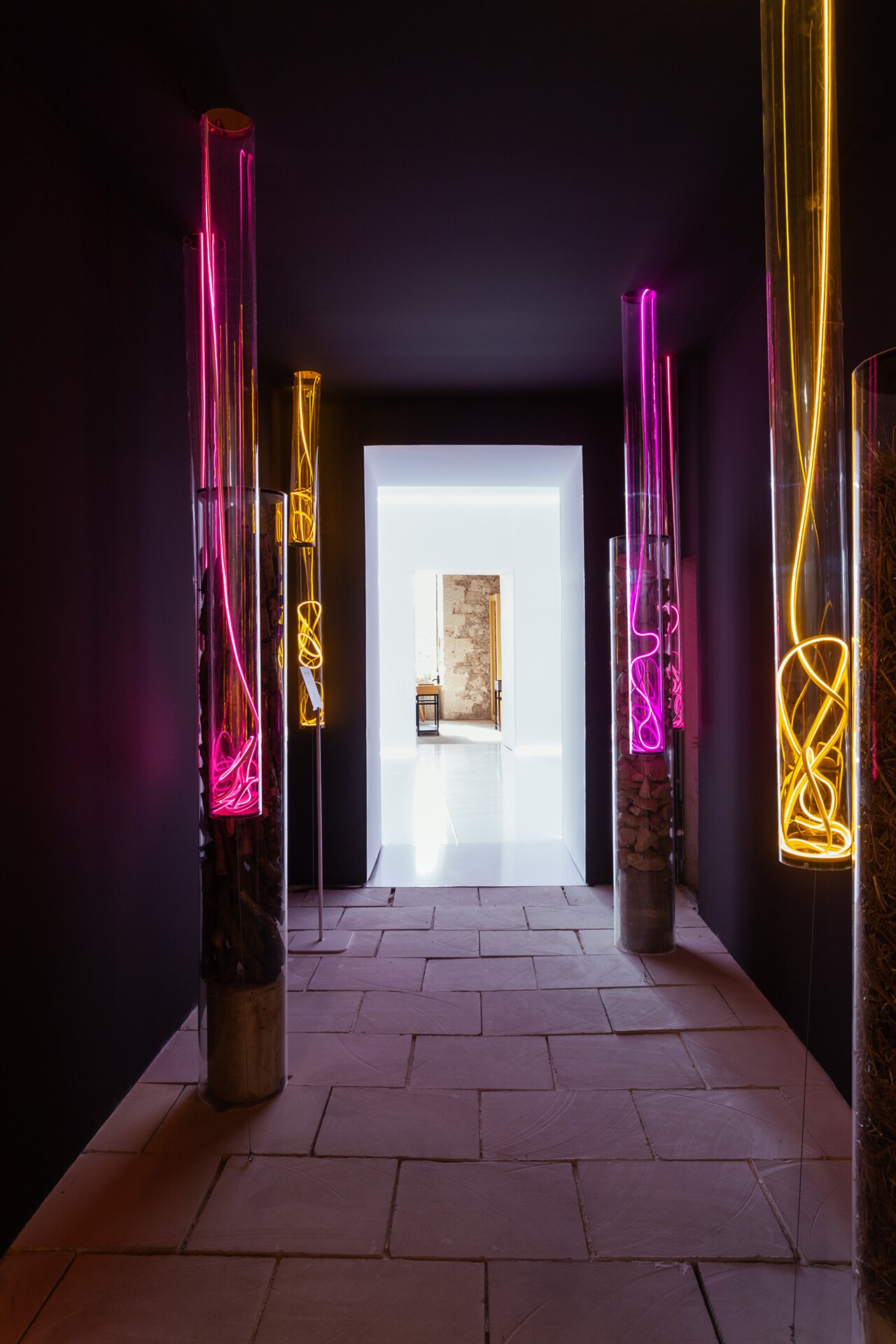 Promoting biodiversity in design - Domus