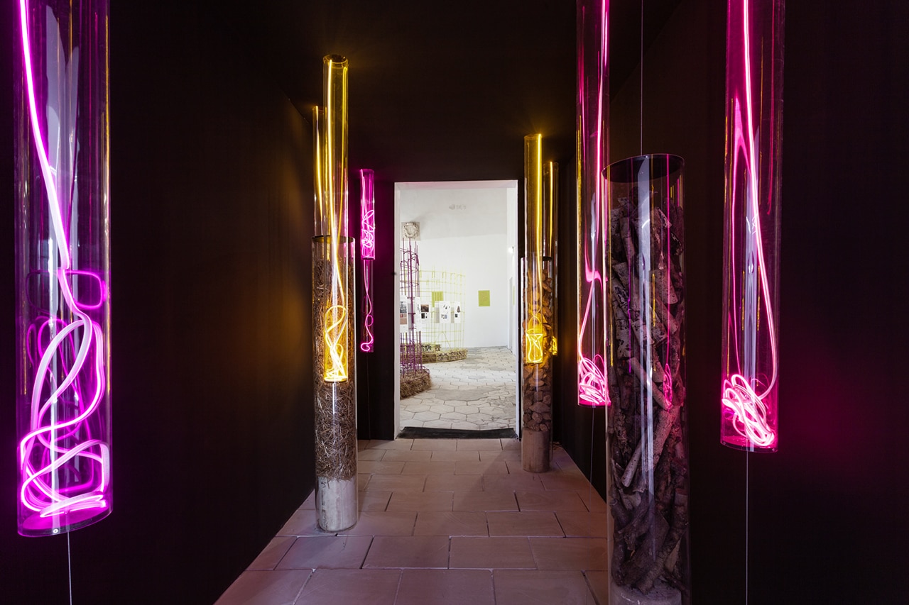 Promoting biodiversity in design - Domus