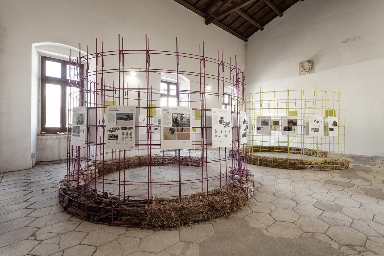 Promoting biodiversity in design - Domus