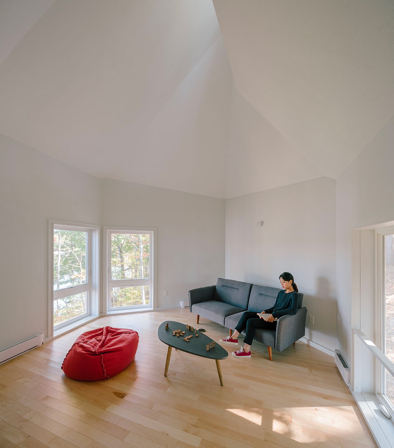 United States. A traditional parametric house by Scalar Architecture