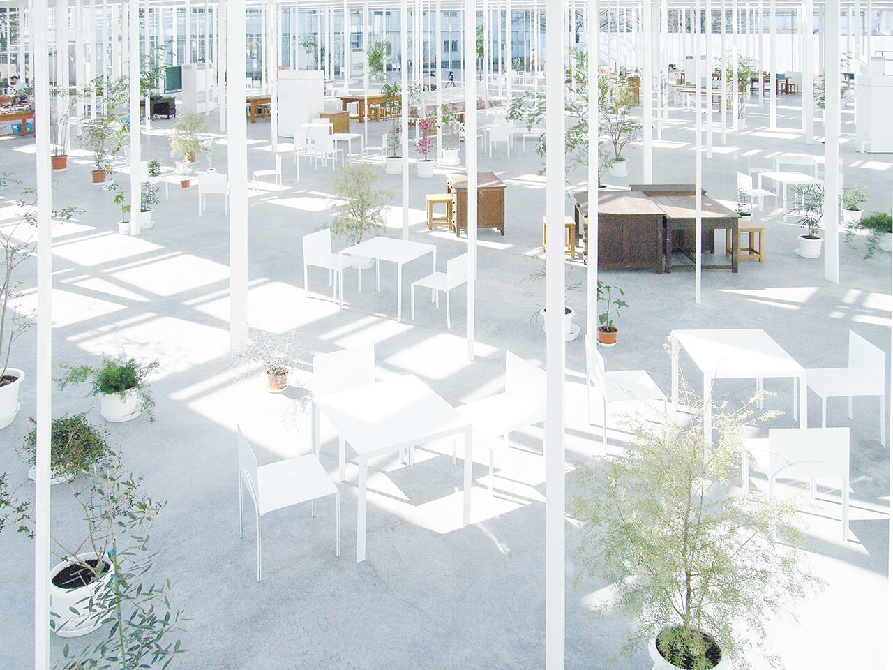 Junya Ishigami in Paris: freeing architecture, structures, contexts - Domus