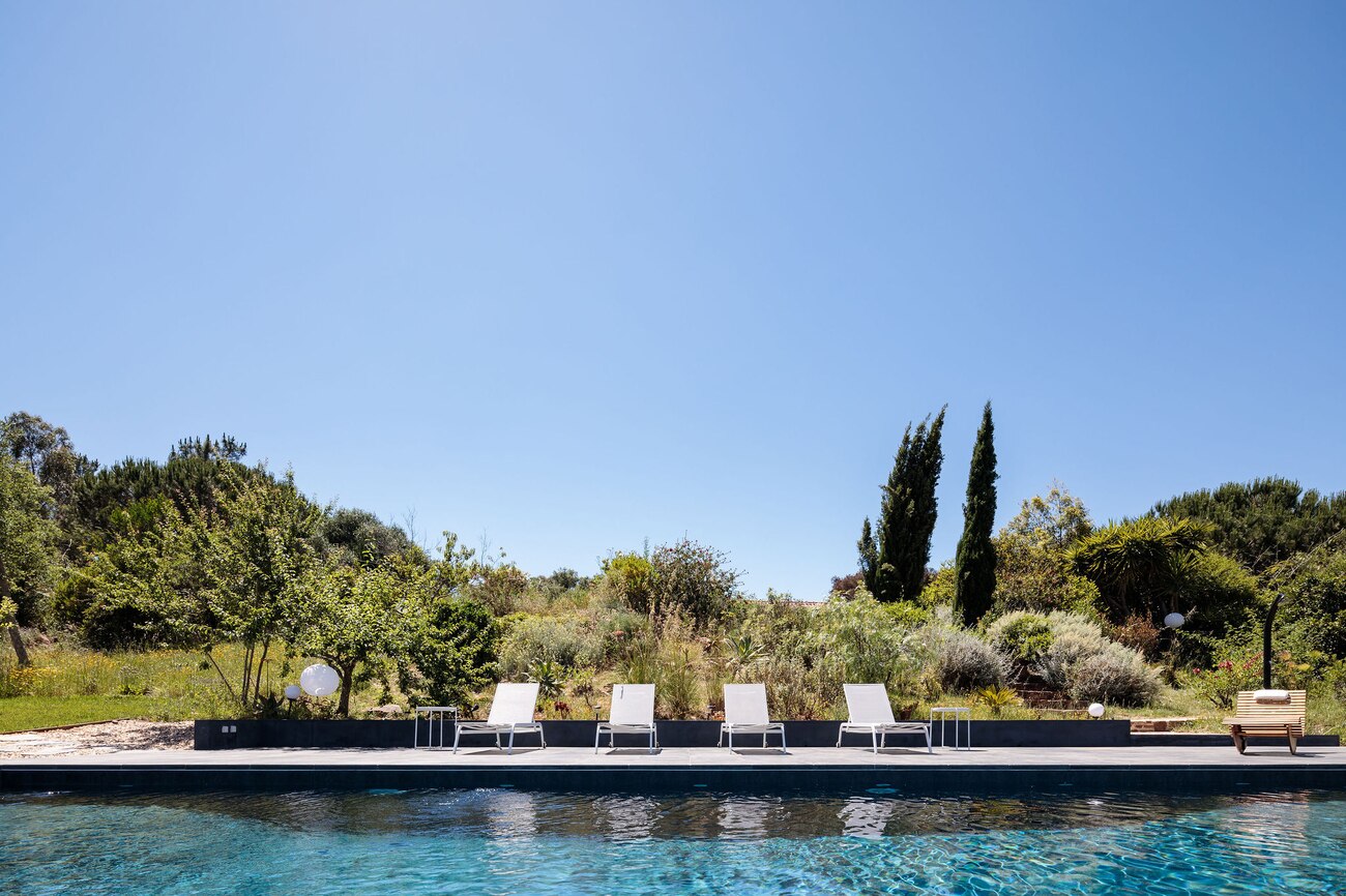 DC.AD renovates a single storey house hidden among the wild vegetation ...