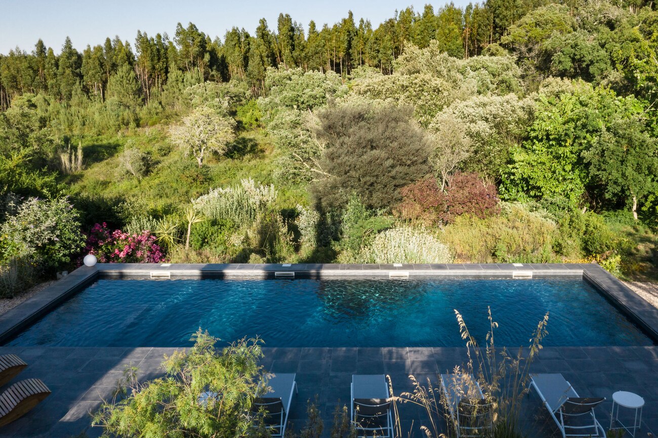 DC.AD renovates a single storey house hidden among the wild vegetation ...