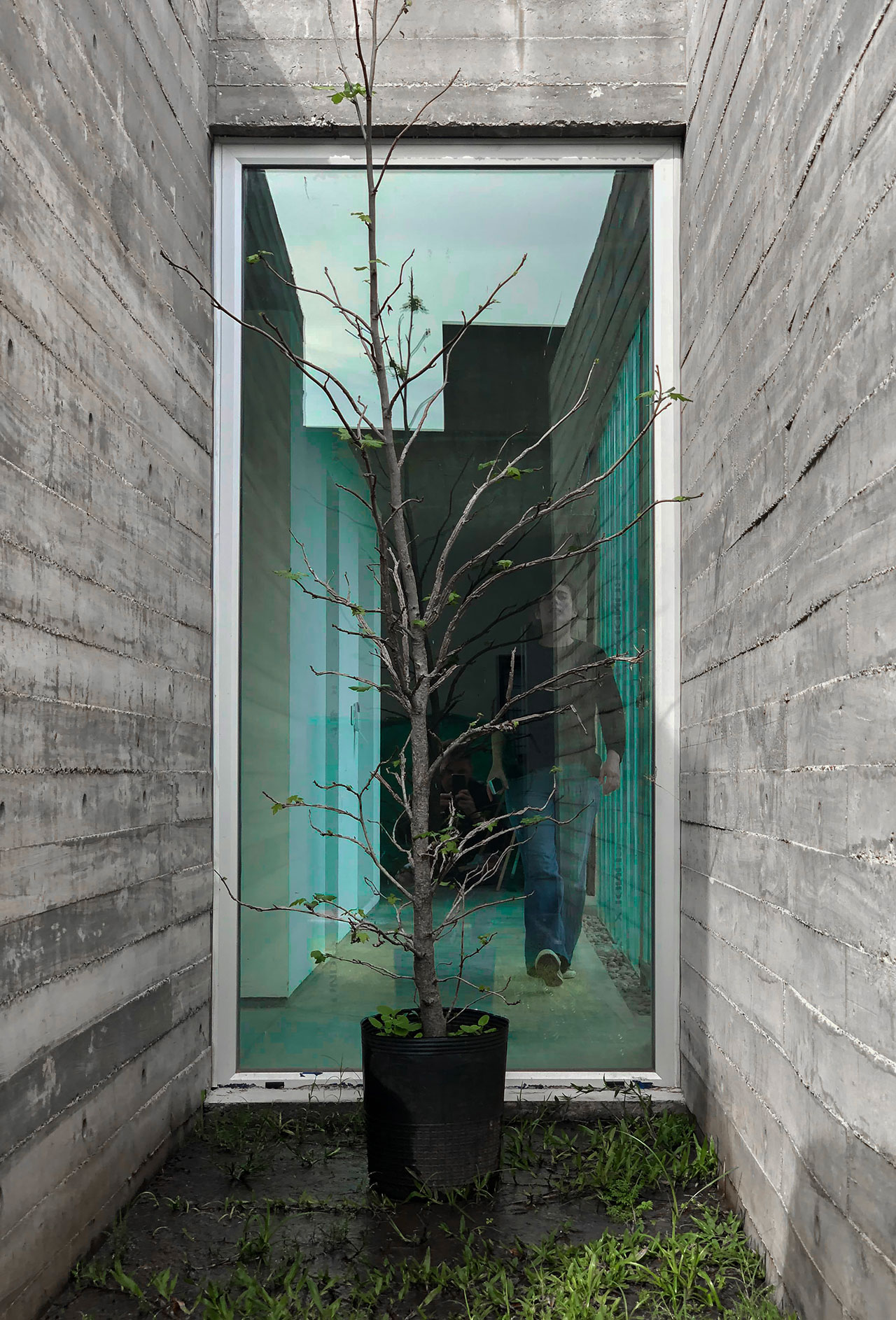 Best 10 houses of 2020 - Domus