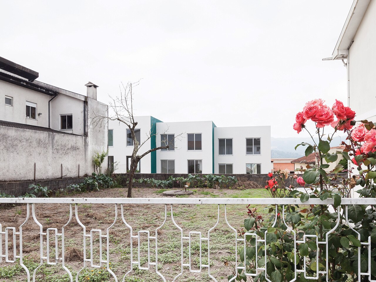 Fala Atelier completes three adjacent houses with garden in Portugal