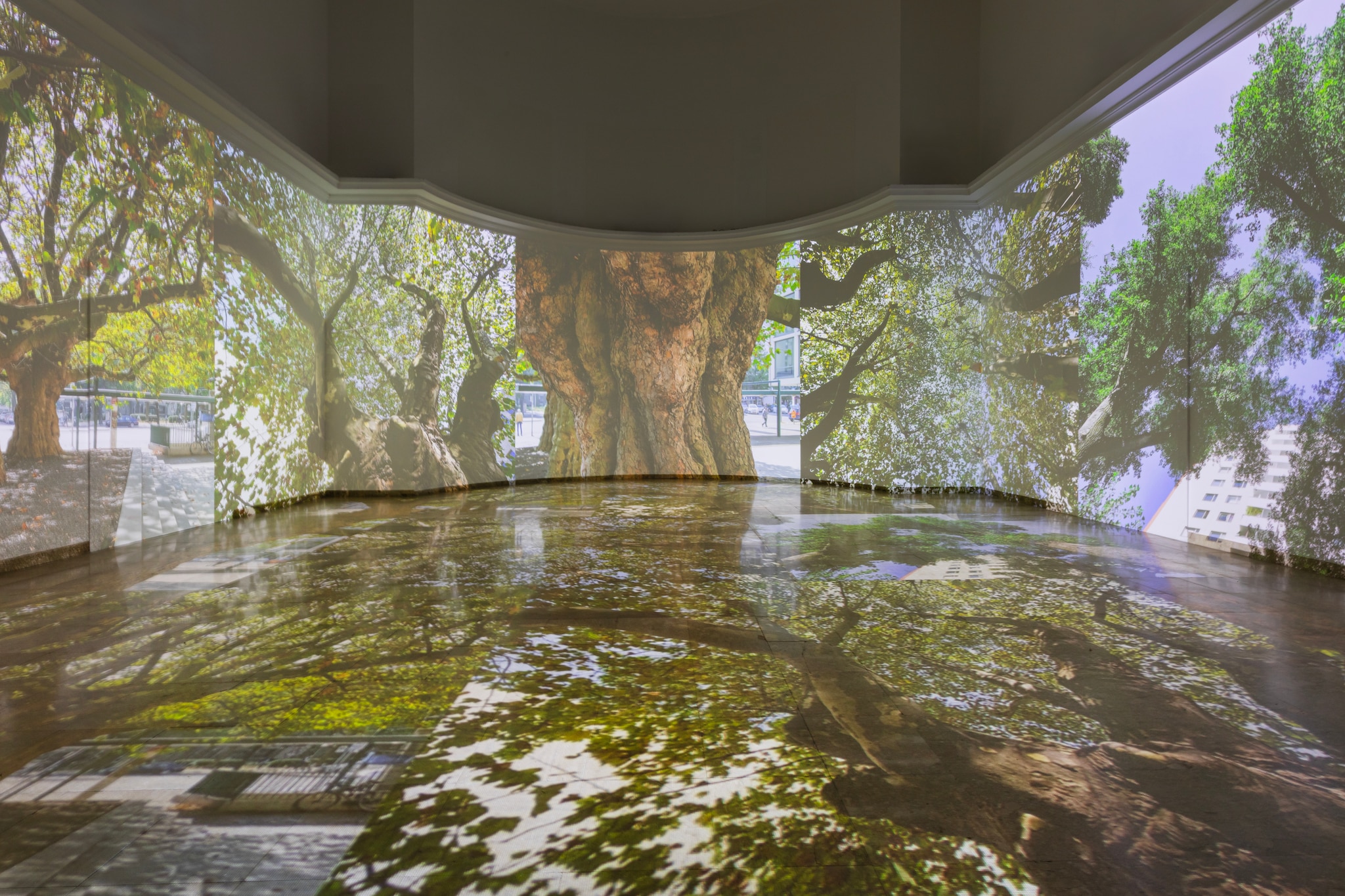 Anteprima Biennale Architettura Venezia 2025: cosa sappiamo prima dell ...