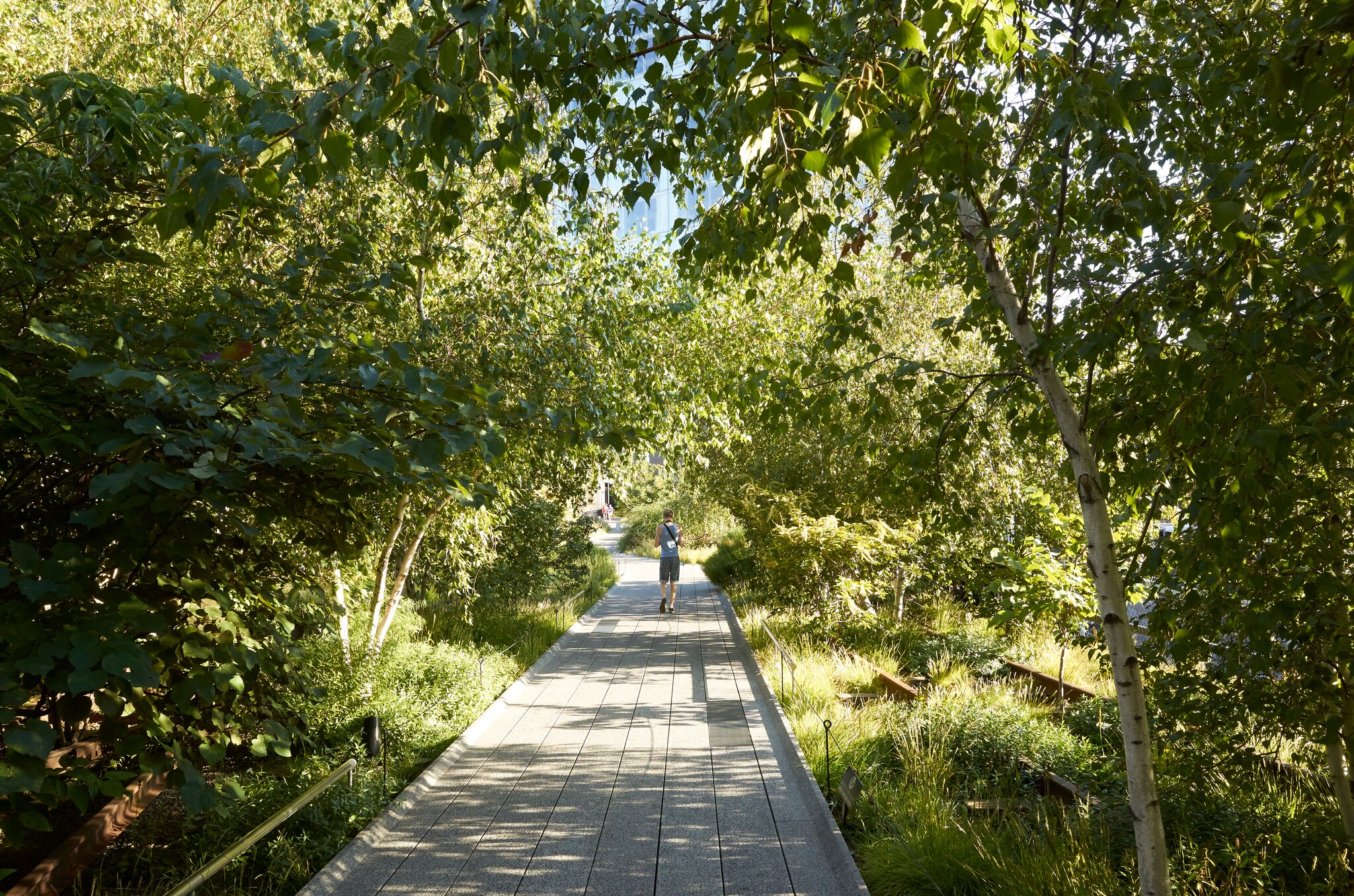 A conversation with Elizabeth Diller, from the Diller Scofidio + Renfro ...