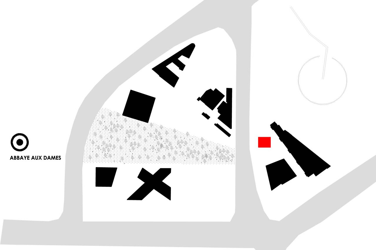 Bruther: MRI - Domus