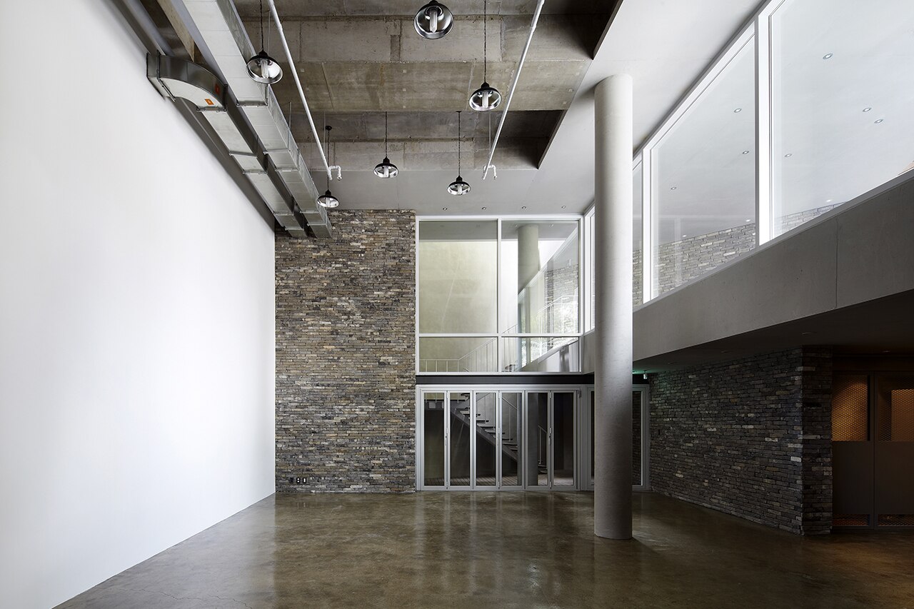 March Rabbit - Domus