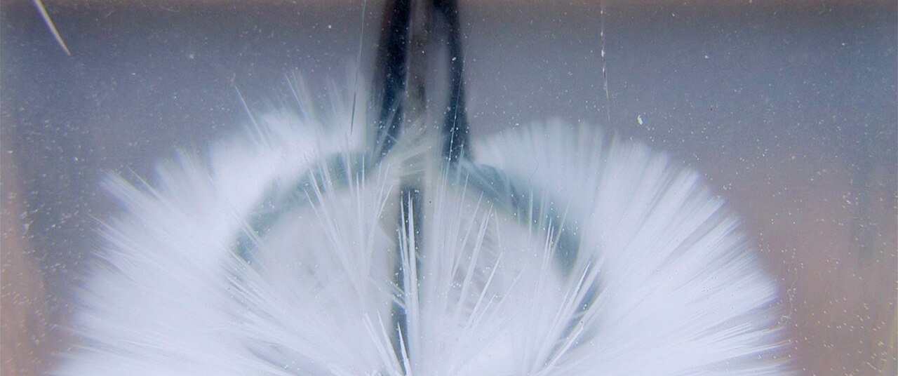 The Strange Sound Of Happiness, un docu-film di Diego Pascal Panarello ...