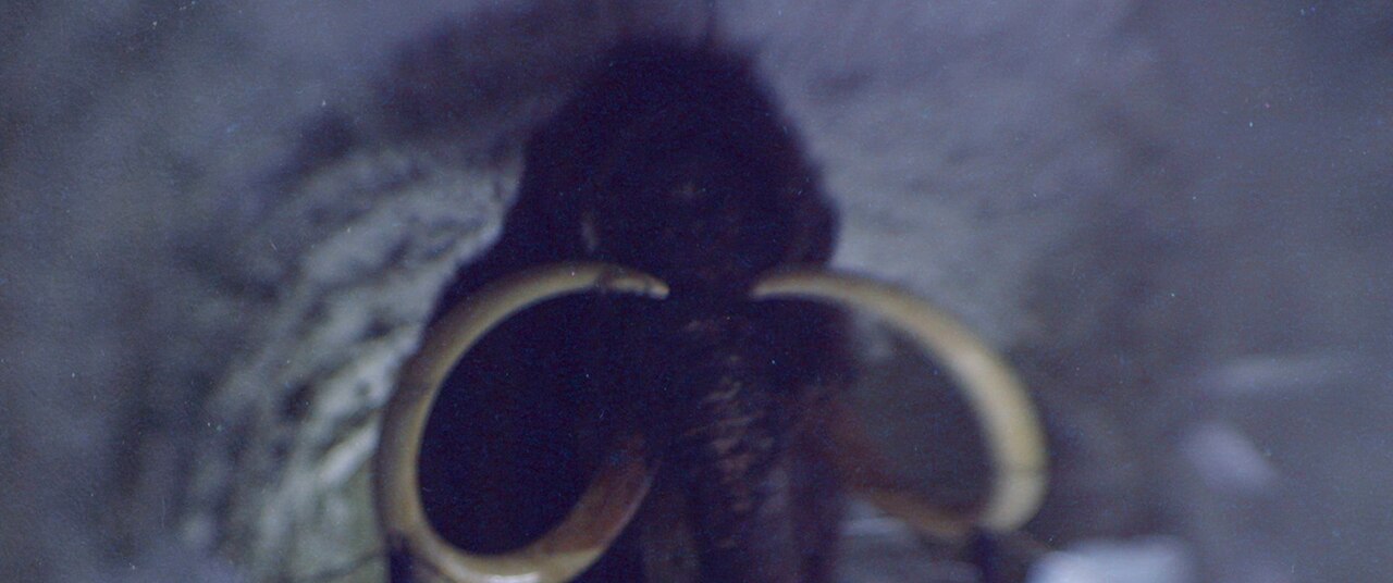 The Strange Sound Of Happiness, un docu-film di Diego Pascal Panarello ...