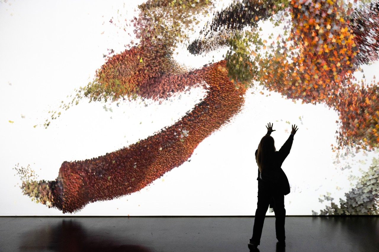 Artificial and human intelligence, low resolutions and boids: 20 years ...