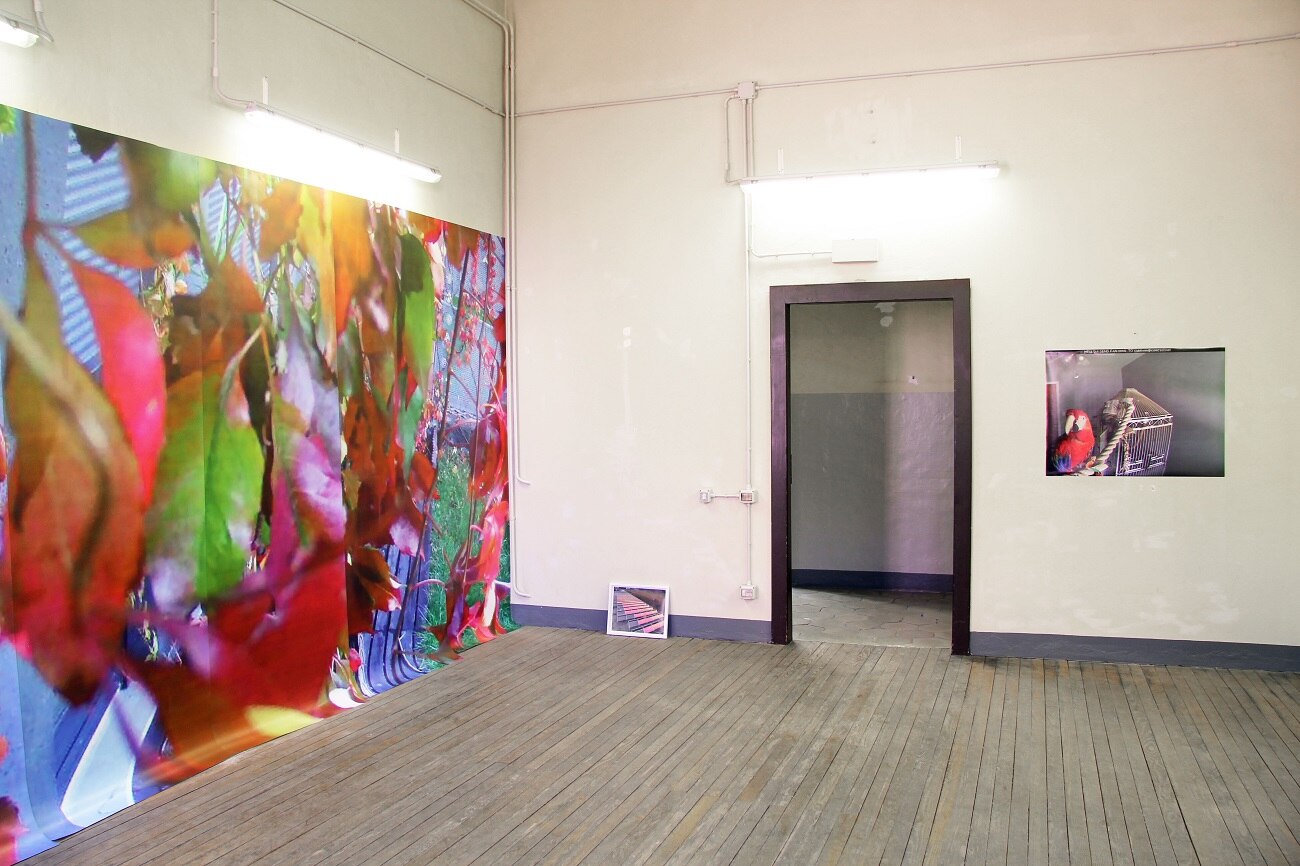 Intervista all'artista Irene Fenara. Gli occhi distanti dell’osservatore