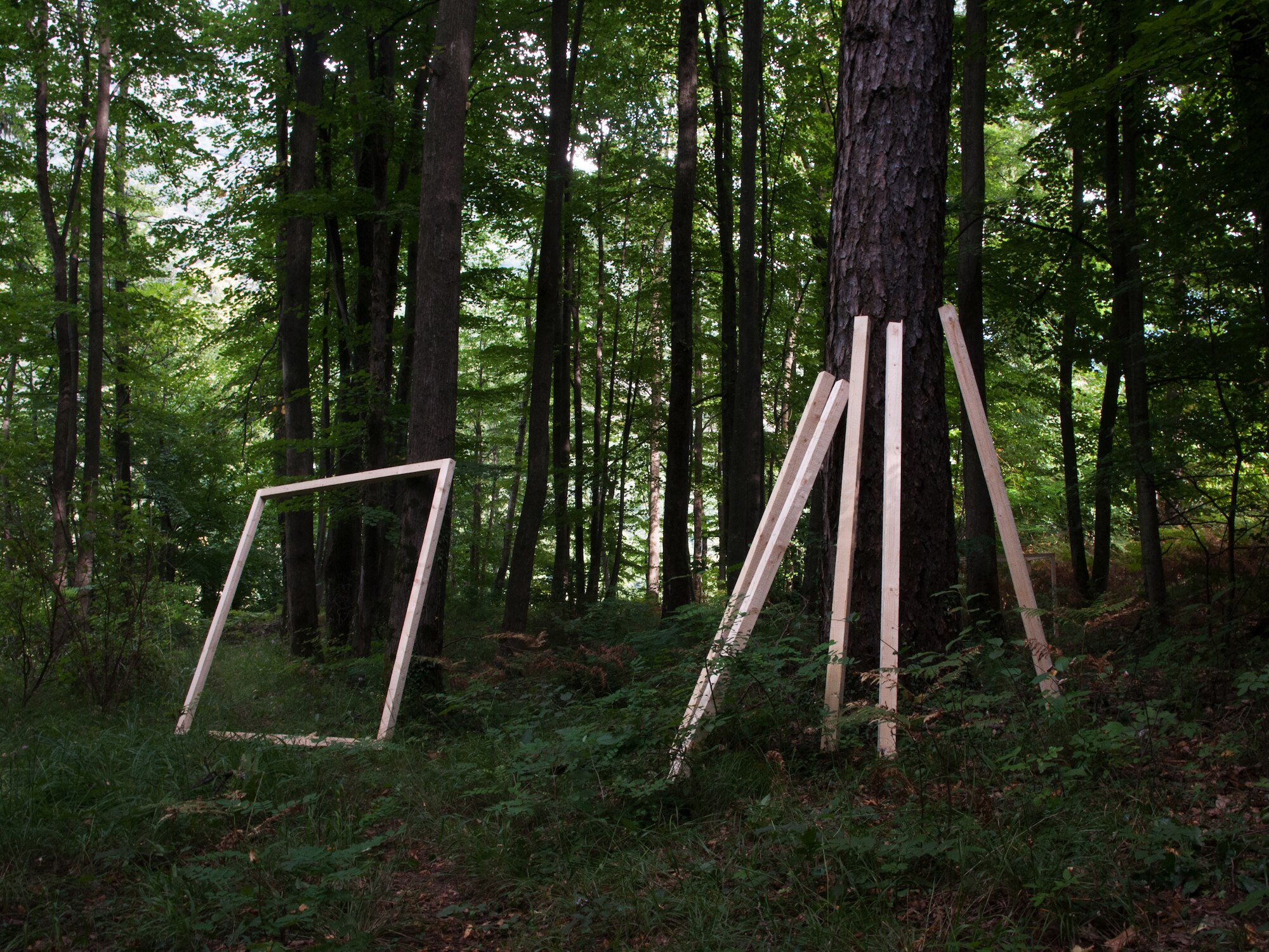 The future of Terraforma, the festival that embraces the difficulties ...