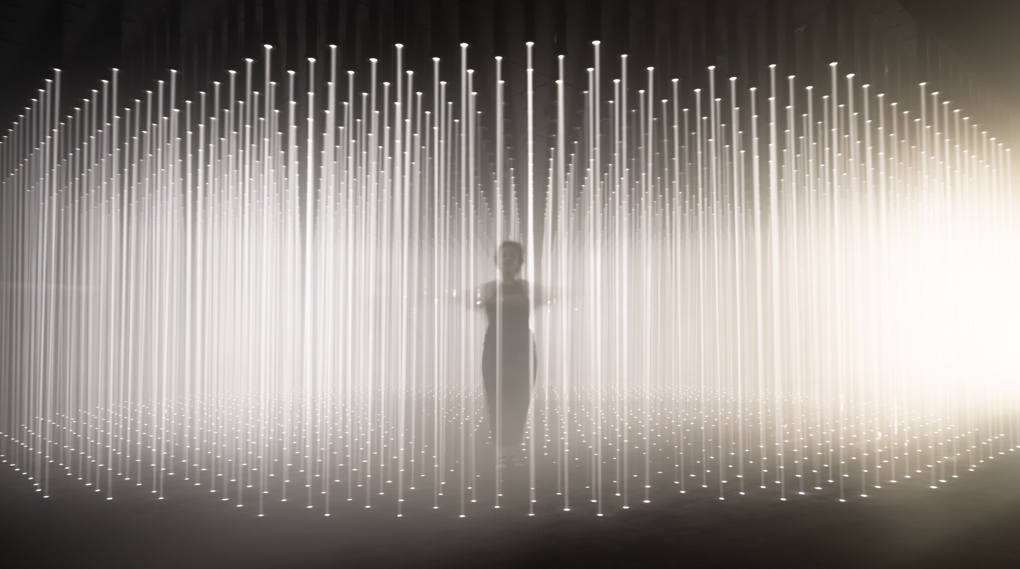 Artificial and human intelligence, low resolutions and boids: 20 years ...