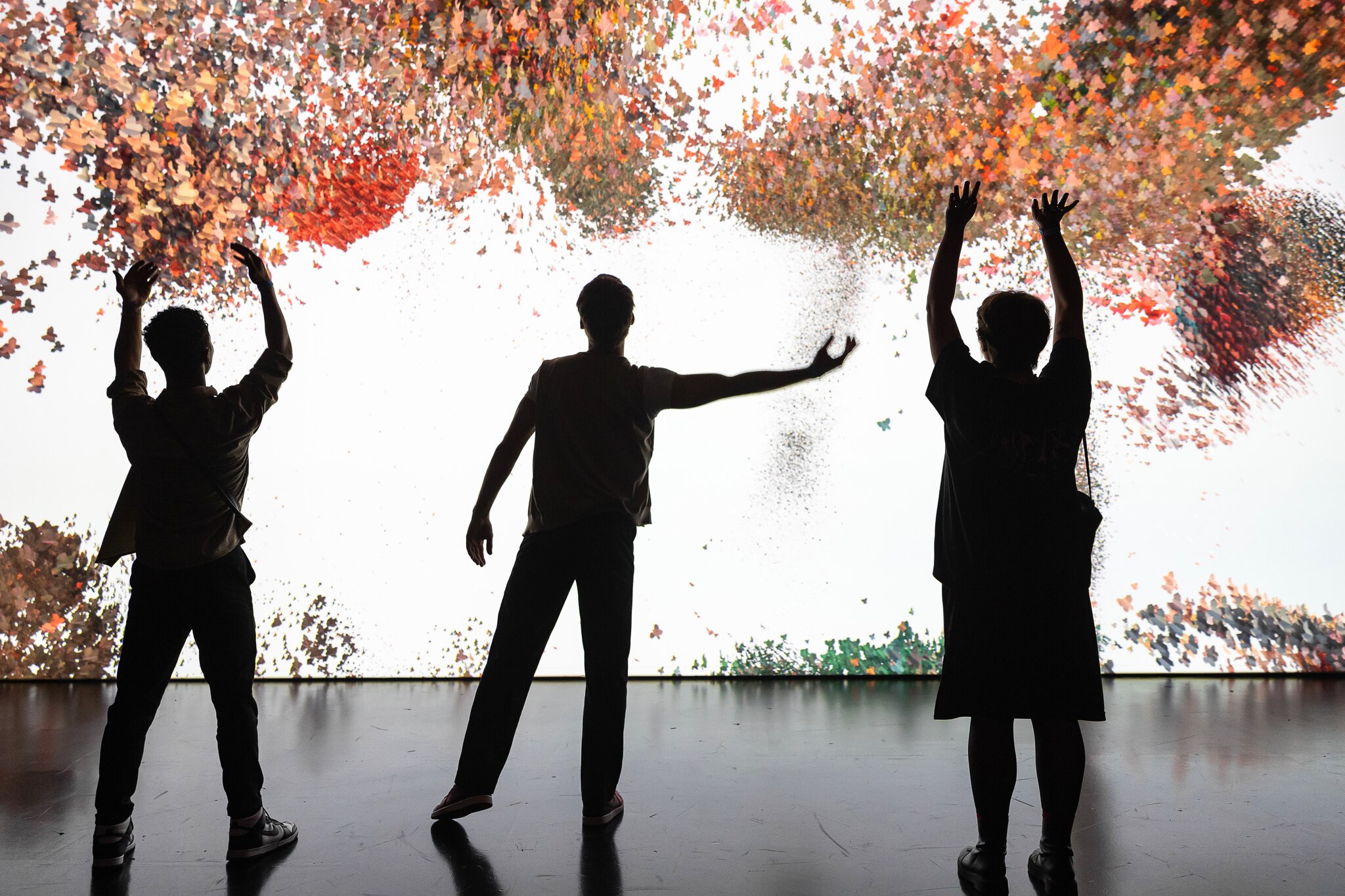 Artificial and human intelligence, low resolutions and boids: 20 years ...