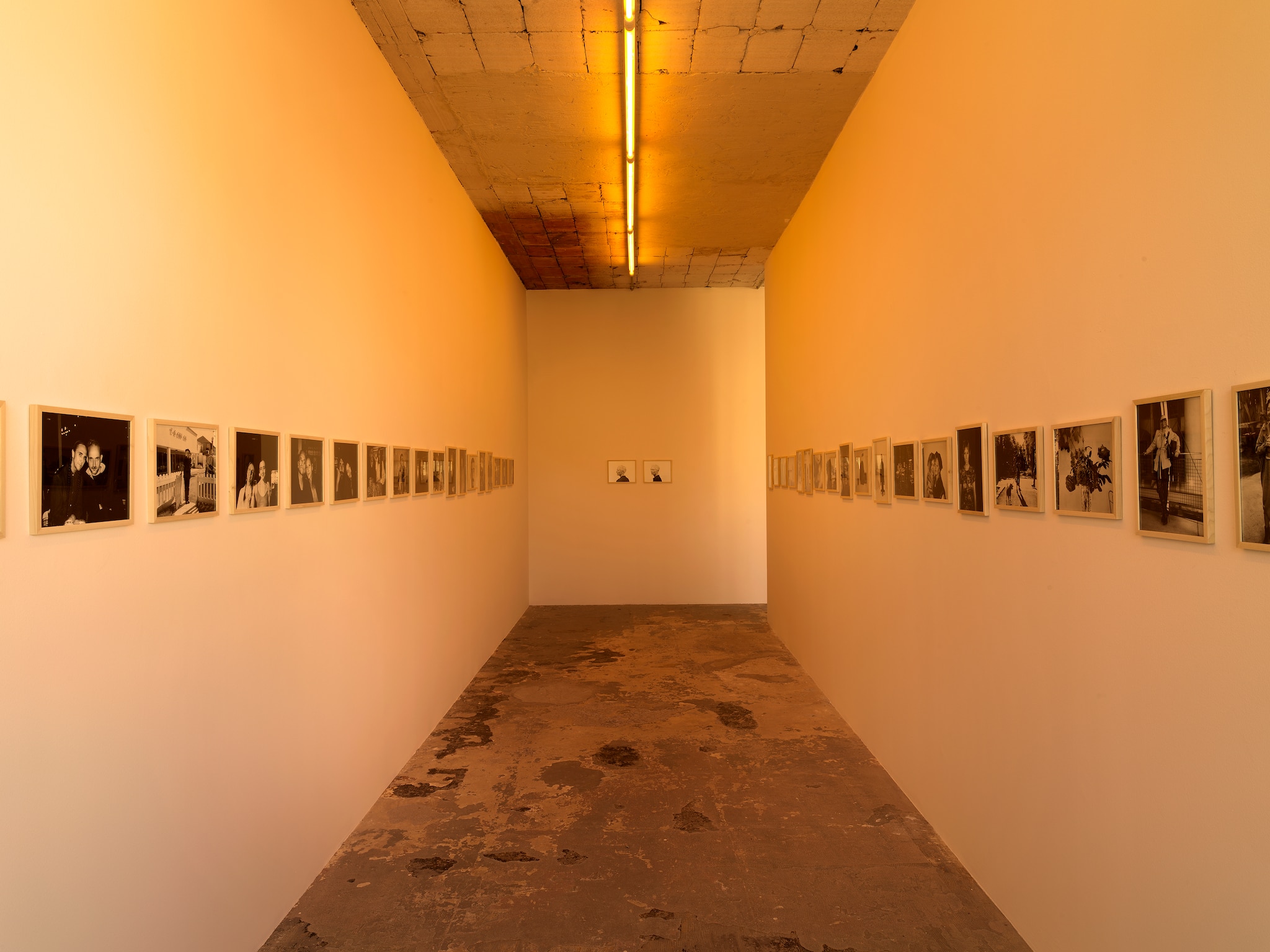 The parable of Michael Stipe, the rockstar turned visual artist - Domus