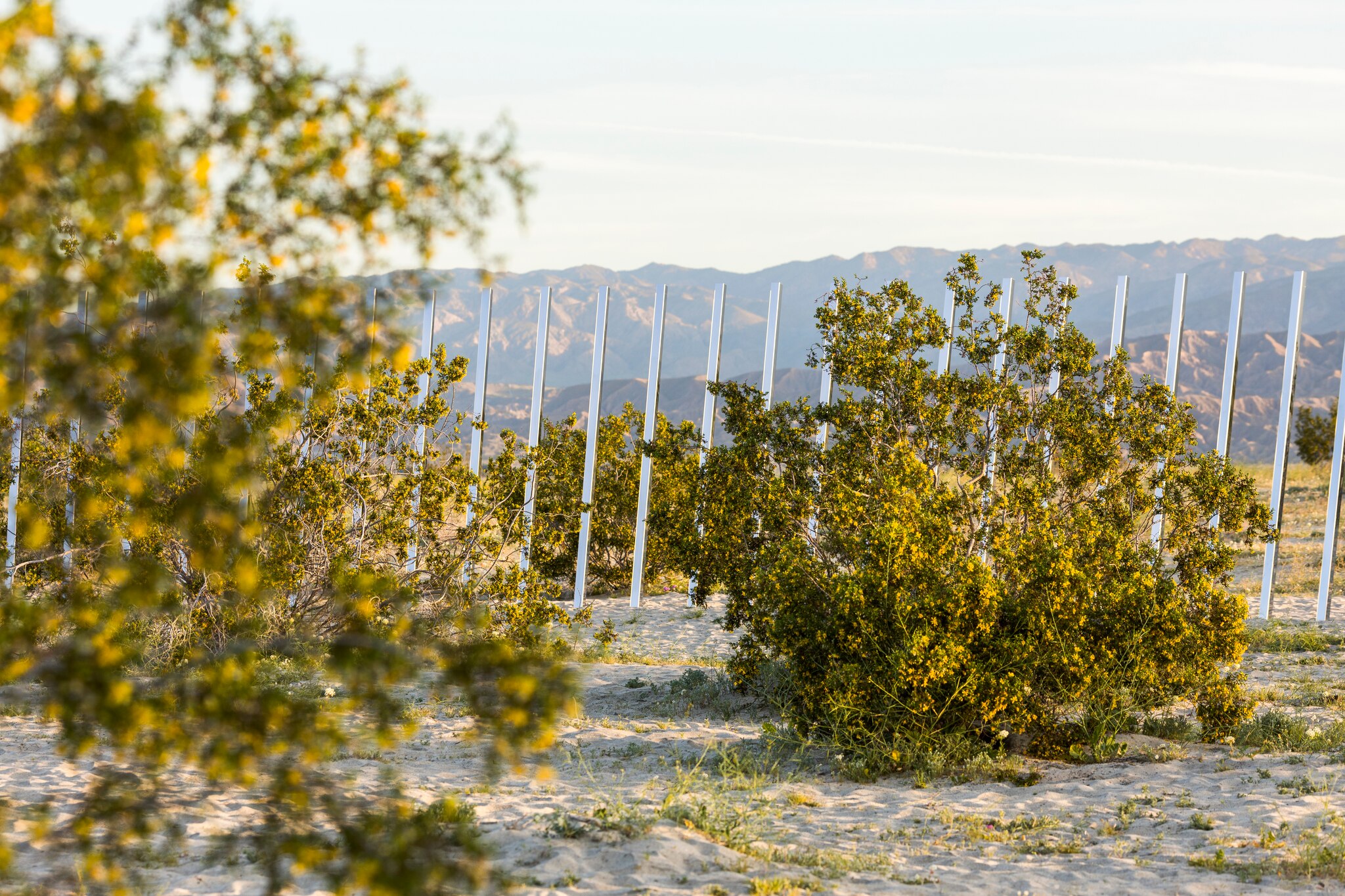 Art conquers the desert: 11 relevant artworks from the Gobi to Nevada ...
