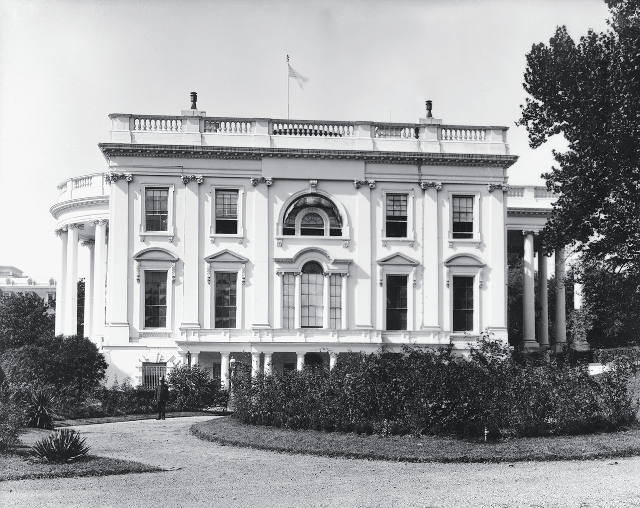 White House Washington: the history and interiors of White House - Domus