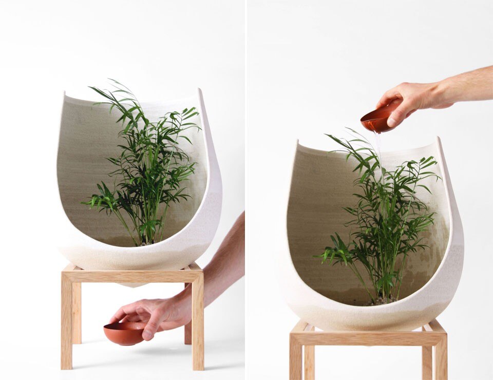 Martín Azúa: Wellspring - Domus