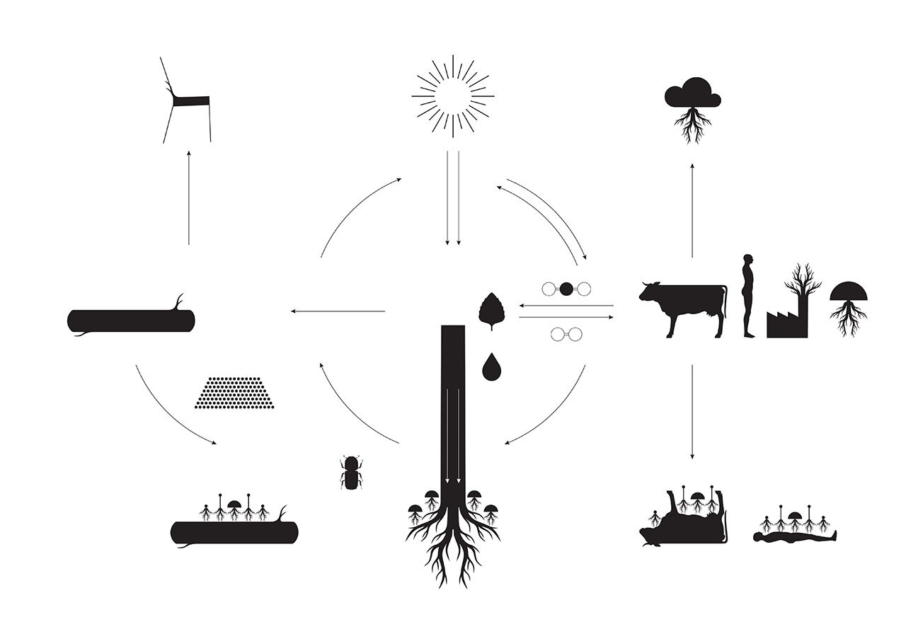 5 works of "restorative design" from Broken Nature: Design Takes on ...