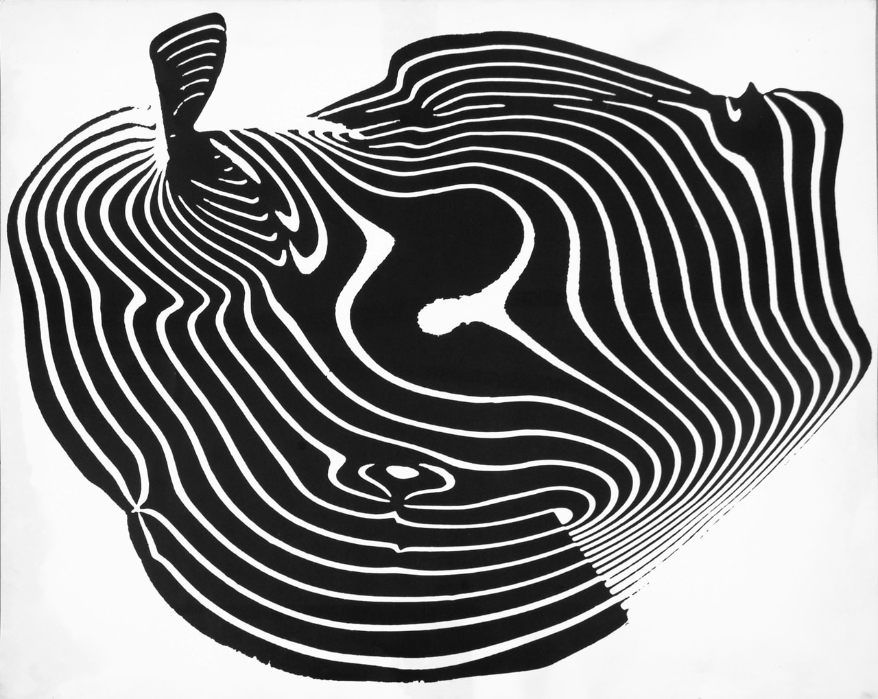 Franco Grignani: an exhibition that makes your head spin - Domus