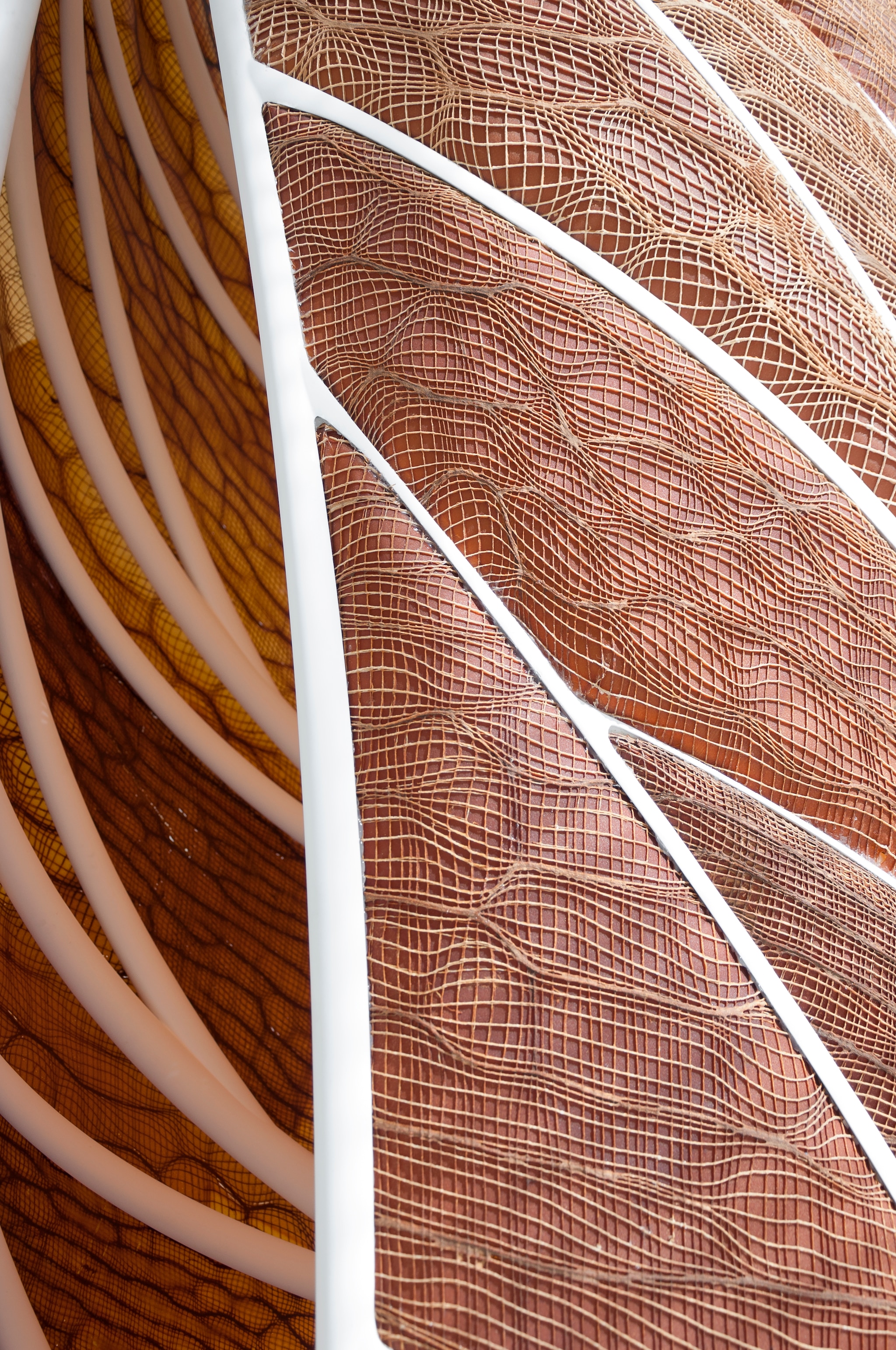 Aguahoja: the organic composite that will save us from plastic - Domus