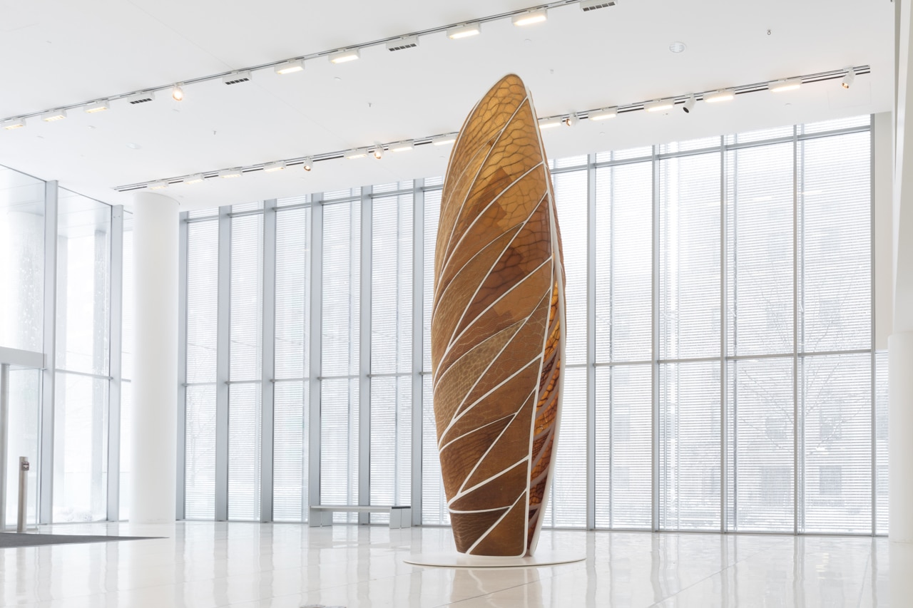 Neri Oxman: Design, Biography & Works of Neri Oxman - Domus