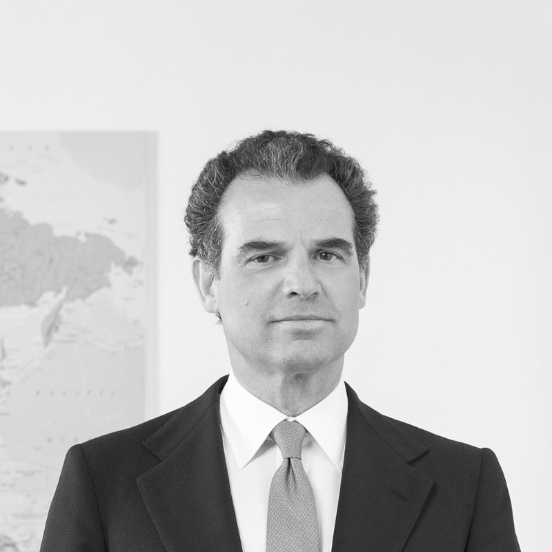 Nino Tronchetti Provera - Domus