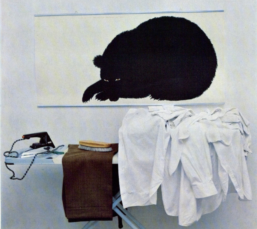 The bear, the duck, the apple: Enzo Mari’s visual language. - Domus
