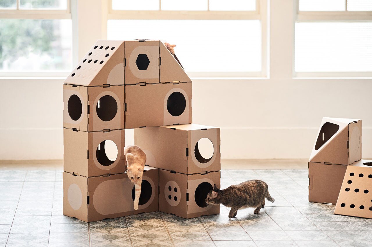Indoor architectures for cats - Domus