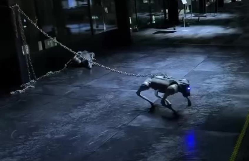 Chained robot dog on show sparks controversy on social media - Domus