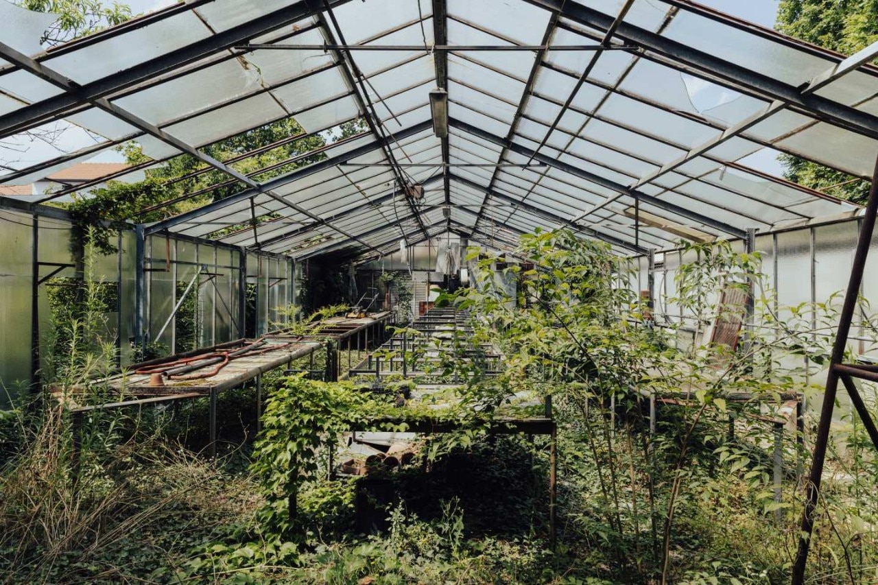 Alcova has announced new locations at Fuorisalone 2025 - Domus