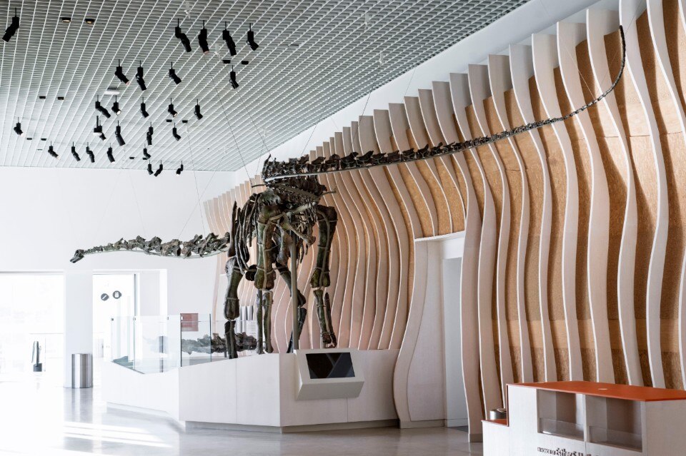 The new wing of the NHM Natural History Museum designed by Frederick ...