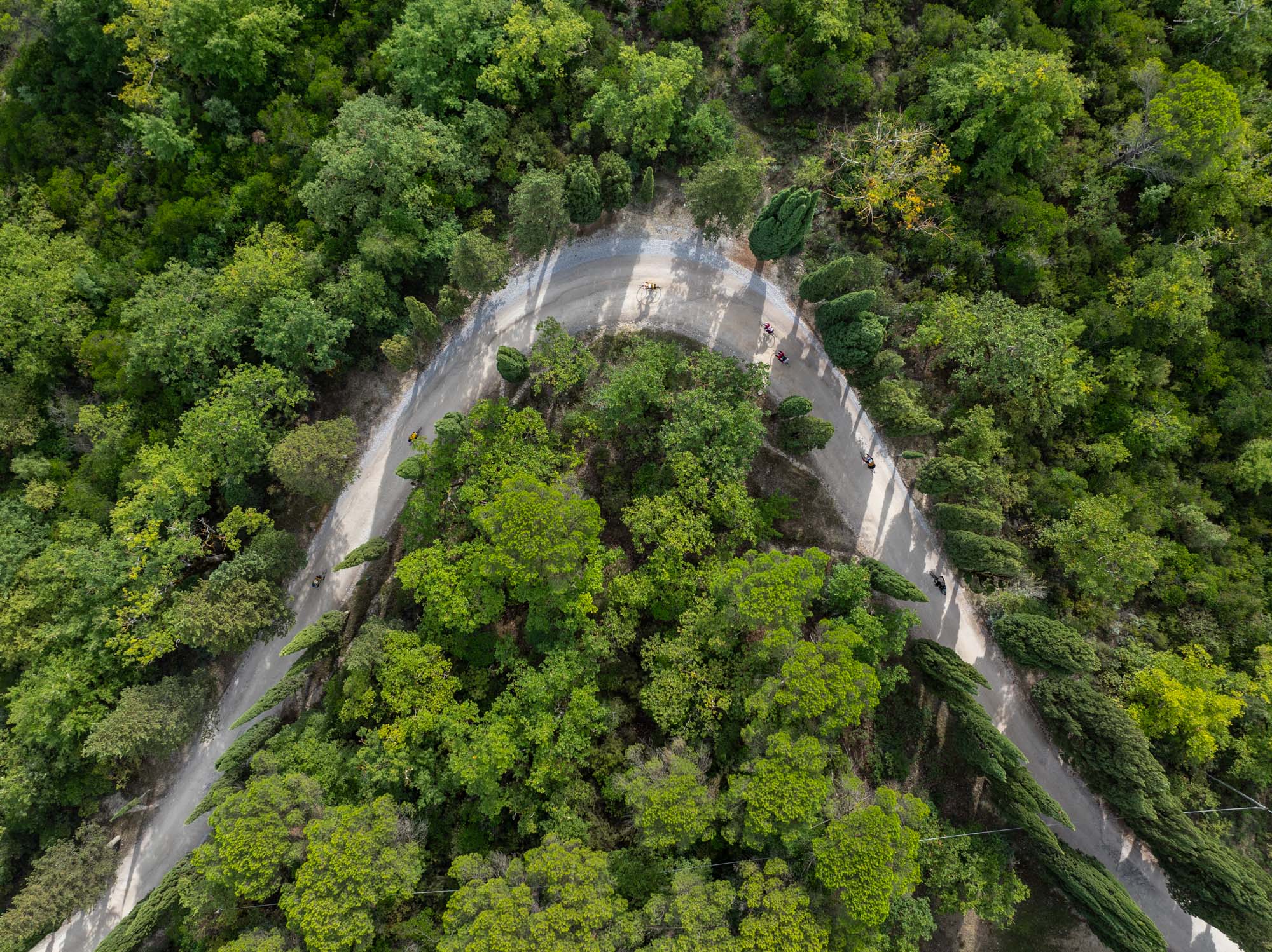 Eroica brings sport to IED’s Glitch Camp - Domus